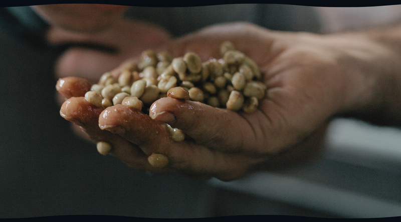 Second State Coffee - Specialty Coffee Roasters | Cafe